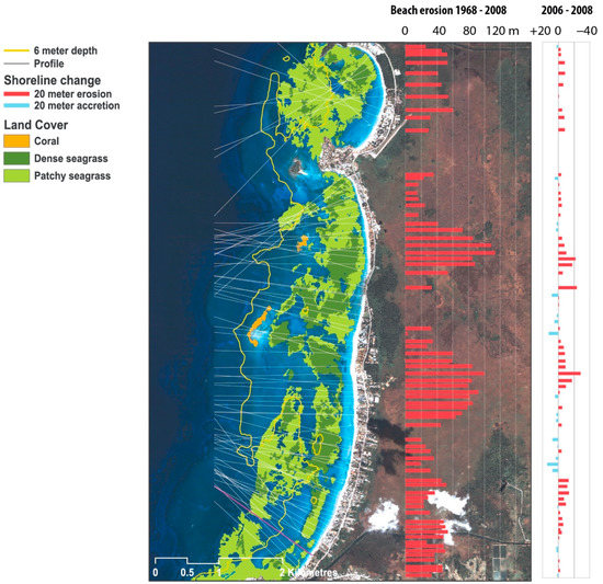 Assessment of the Role of Nearshore Marine Ecosystems to Mitigate Beach ...