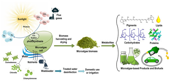 Indoor Air Quality: A Review of Cleaning Technologies