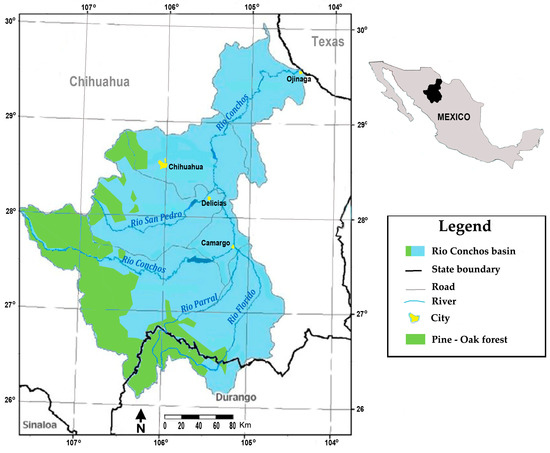 The Pine-Oak Forest of the Rio Conchos Basin, Mexico: Key to Rain ...