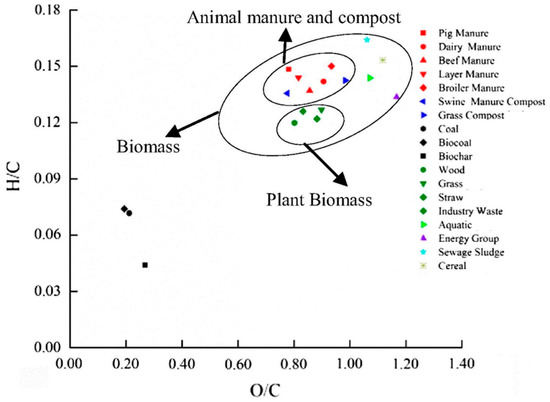 Pathways for the Valorization of Animal and Human Waste to Biofuels, Sustainable Materials, and ...