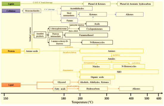 Pathways for the Valorization of Animal and Human Waste to Biofuels, Sustainable Materials, and ...