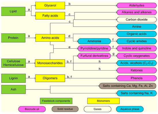 Pathways for the Valorization of Animal and Human Waste to Biofuels, Sustainable Materials, and ...