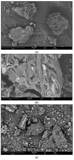 The Potential of Waste Phloem Fraction of Quercus cerris Bark in ...