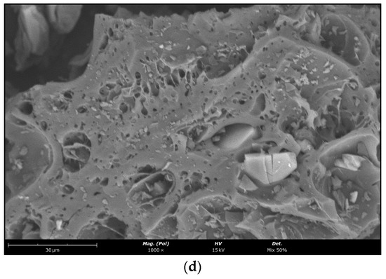 The Potential of Waste Phloem Fraction of Quercus cerris Bark in ...