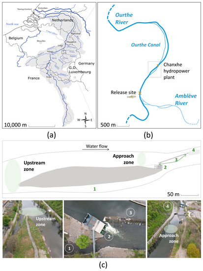 Assessment of the Attractiveness and Passage Efficiency of Different ...