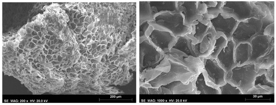 Maceration of Waste Cork in Binary Hydrophilic Solvents for the ...