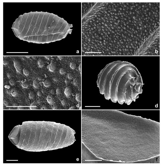 The Charophytes (Charophyceae, Characeae) from Dagestan Aquatic ...