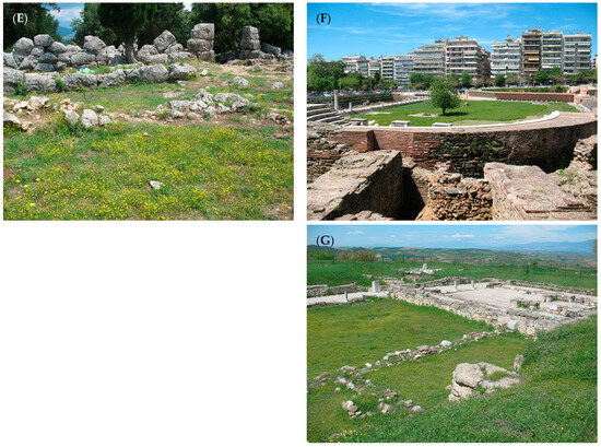 Ecological Analysis and Opportunities for Enhancement of the ...