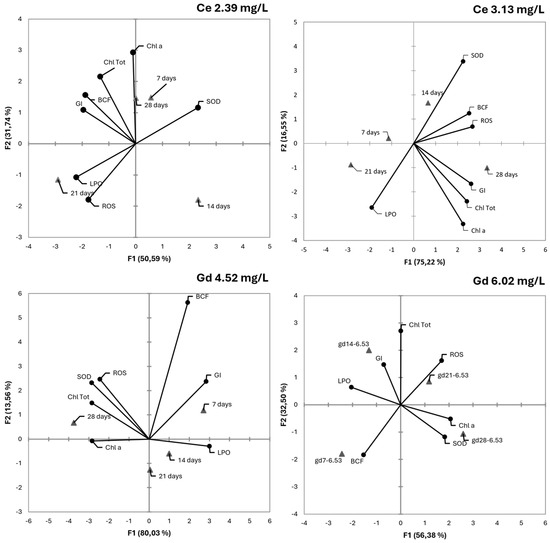 Multi-Endpoint Analysis of Cerium and Gadolinium Effects after Long ...