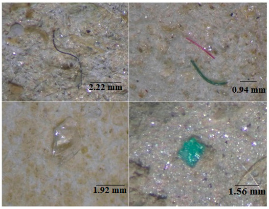 Environments | Free Full-Text | Anthropogenic Microparticles Abundance ...