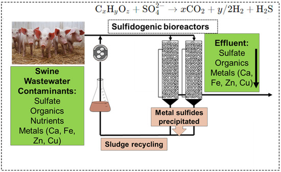 Enhancing Swine Wastewater Treatment: A Sustainable and Systematic ...