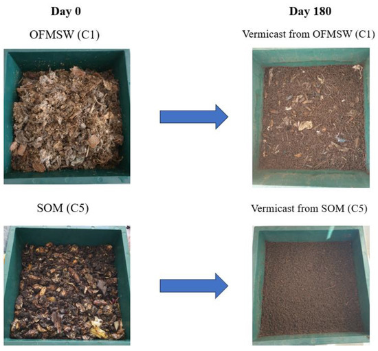 Combination between Composting and Vermicomposting of OFMSW: A Sicilian ...