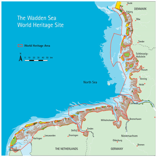 Management of Wadden Sea Salt Marshes in the Context of Nature ...