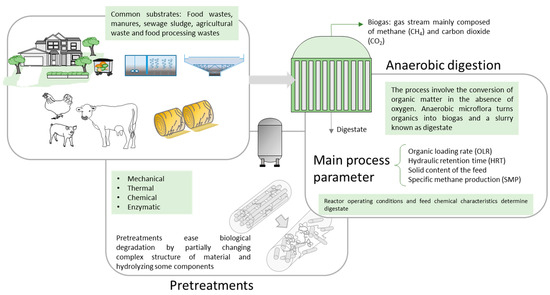 Reviewing Digestate Thermal Valorization: Focusing on the Energy Demand ...