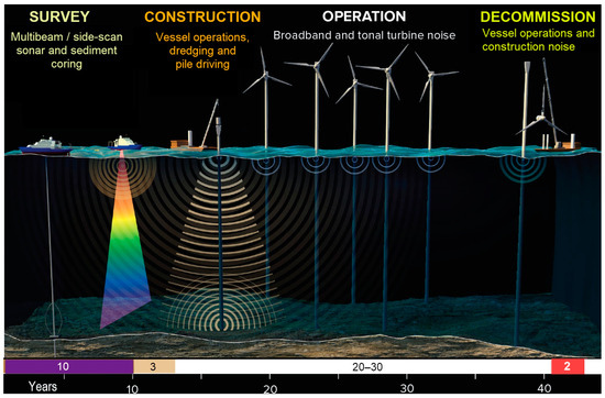 Environmental Impact of Wind Farms