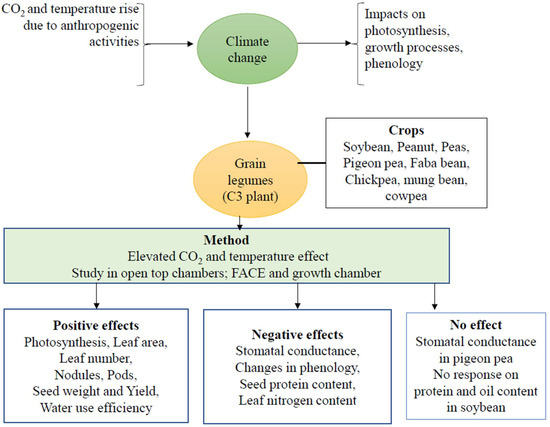Possible Impacts of Elevated CO2 and Temperature on Growth and ...