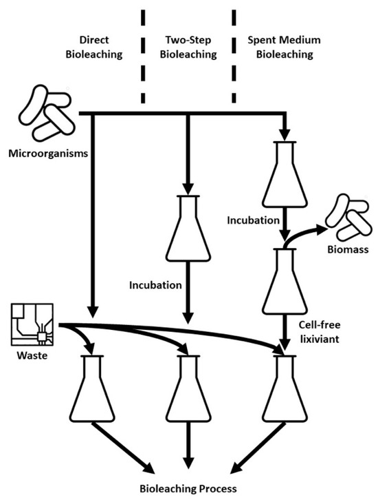 Biobased Strategies for E-Waste Metal Recovery: A Critical Overview of ...