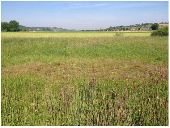 Mofettes as Models for Basic Research on Soil and Rhizosphere Microbial ...