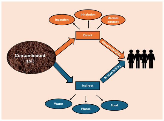 The Fate of Chemical Contaminants in Soil with a View to Potential Risk ...