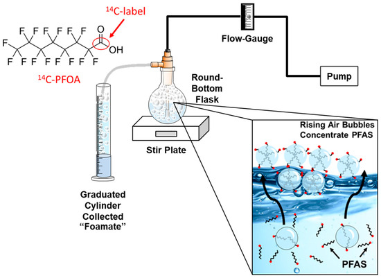 Remediating Per- and Polyfluoroalkyl Substances (PFAS)-Contaminated ...