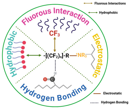 Understanding PFAS Adsorption: How Molecular Structure Affects ...