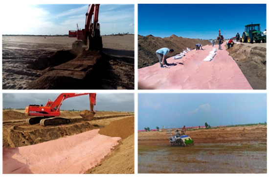 Salt-Affected Soil Management Utilizing an Innovative Coated Sand ...