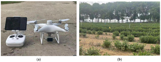 Optimization of Intelligent Irrigation Systems for Smart Farming Using ...