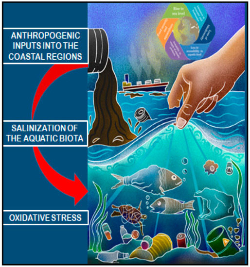 Anthropization, Salinity and Oxidative Stress in Animals in the Coastal ...