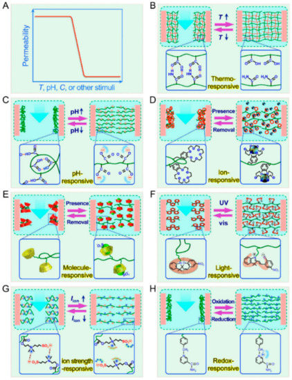 An Insight into the Next-Generation Smart Membranes