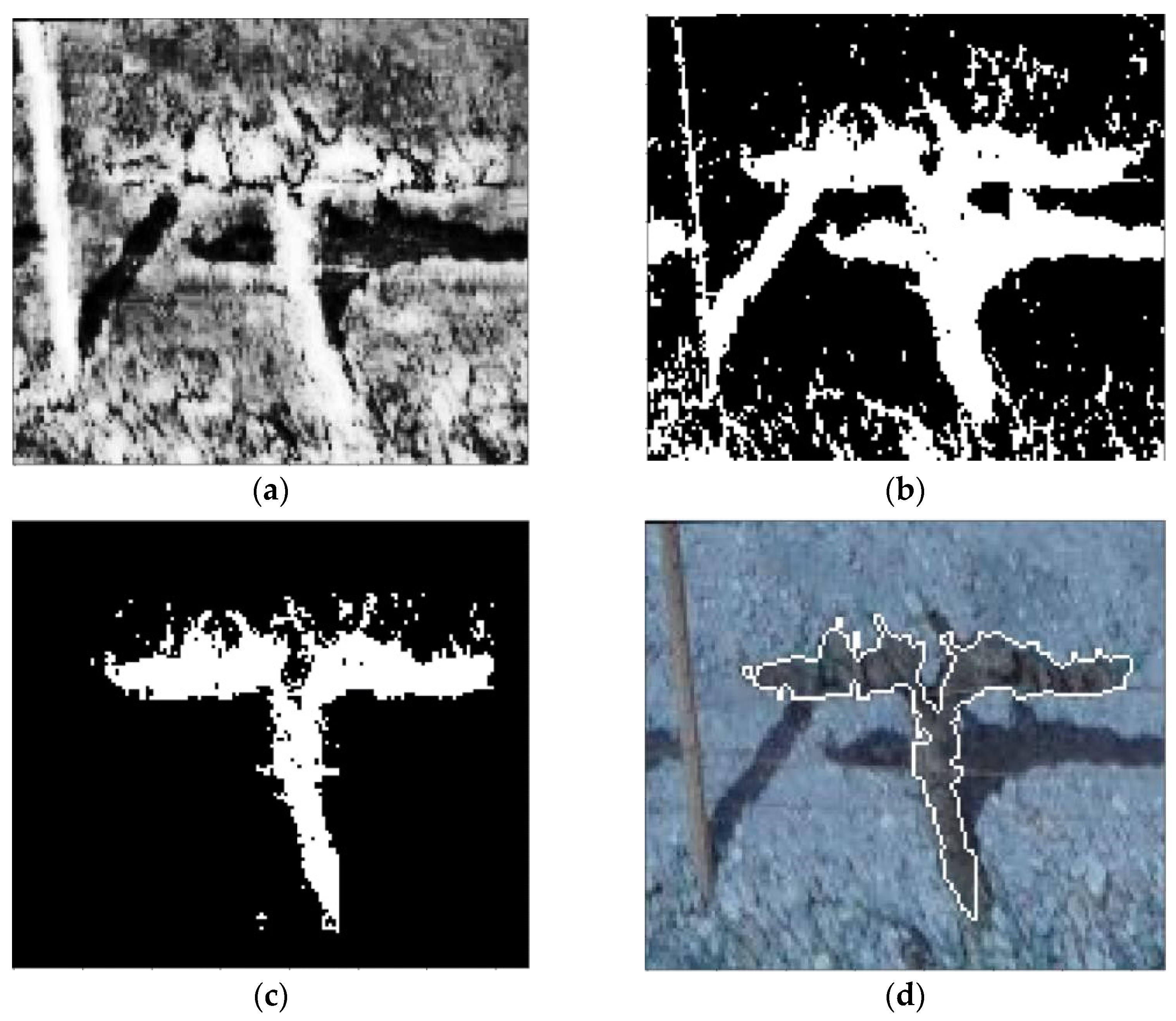 Vine Volume Estimation from UAV Photogrammetry and Imagery Processing