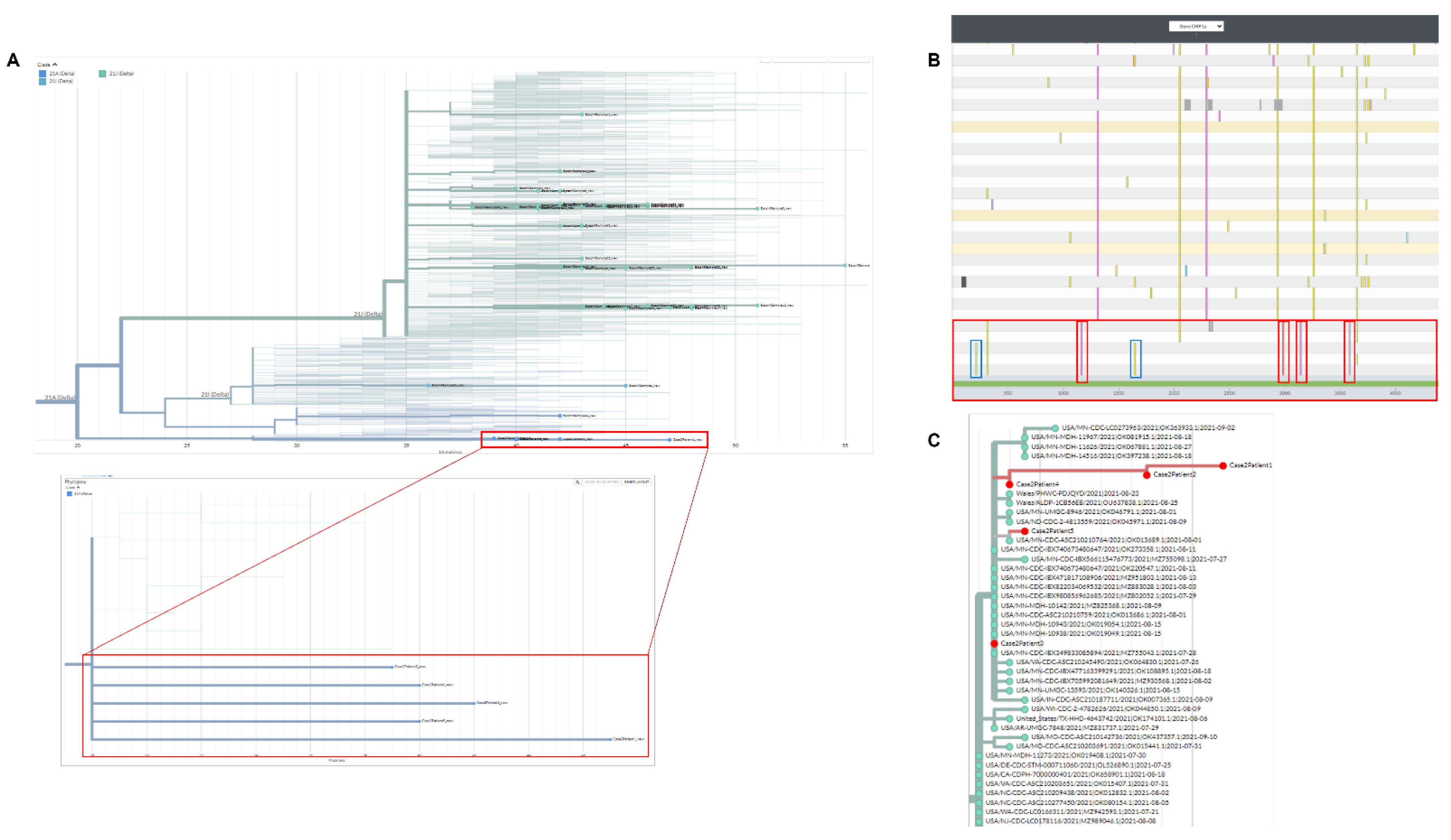 Molecular Epidemiological Investigations of Localized SARS-CoV-2 Outbreaks-Utility of Public ...