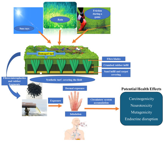 Rubber Crumb Infill in Synthetic Turf and Health Outcomes: A Review of ...