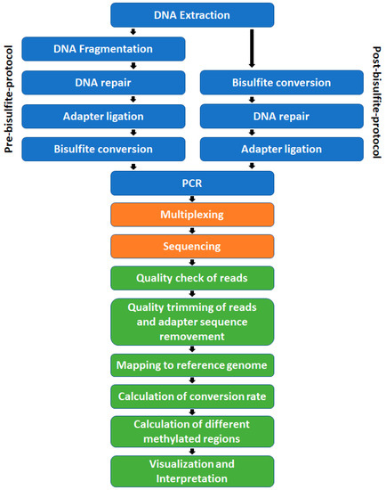 How to Design a Whole-Genome Bisulfite Sequencing Experiment