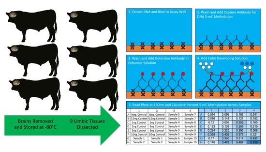 Cow Dna Vs Human Dna