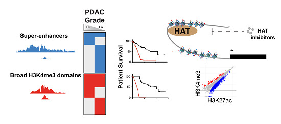 Epigenomes | Free Full-Text | Disruption of Broad Epigenetic Domains in ...