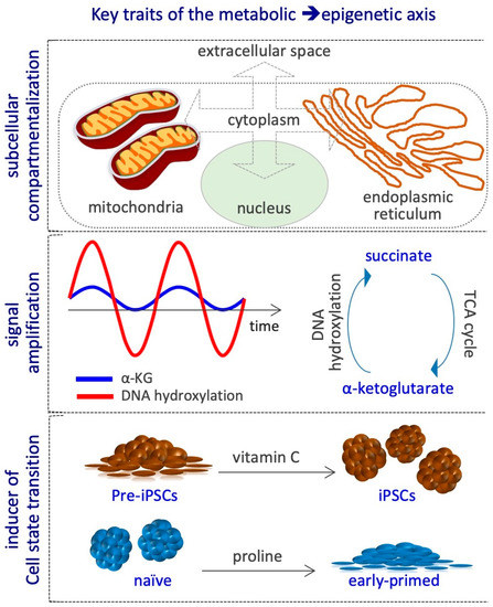 Epigenomes | An Open Access Journal from MDPI