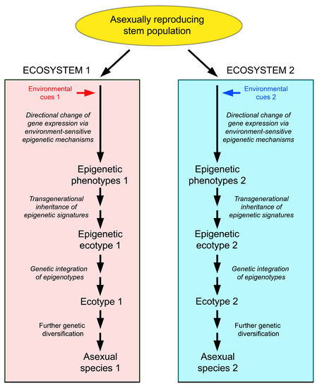 Environmental Adaptation of Genetically Uniform Organisms with the Help ...