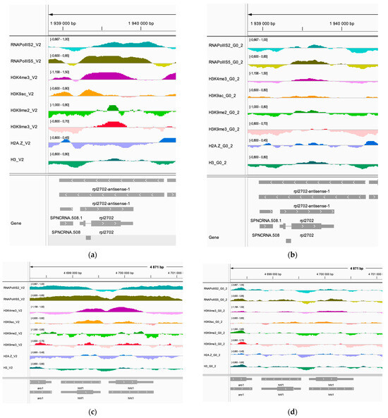 Epigenome Mapping in Quiescent Cells Reveals a Key Role for H3K4me3 in Regulation of RNA ...