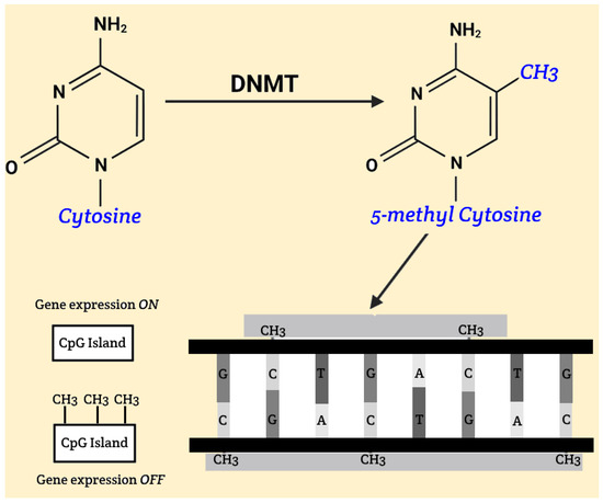 Epigenetic DNA Methylation Under the Influence of Low-Dose Ionizing ...
