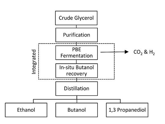 Fermentation | Special Issue : Industrial Biotechnology: An Emerging Area