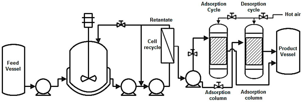 Fermentation Special Issue Industrial Biotechnology An Emerging Area