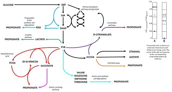 Fermentation | Free Full-Text | Microbial Propionic Acid Production