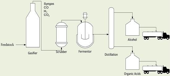 Fermentation | Free Full-Text | Syngas Fermentation: A Microbial ...