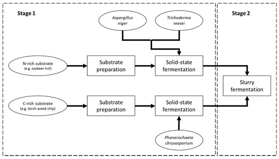 Direct Succinic Acid Production from Minimally Pretreated Biomass Using ...