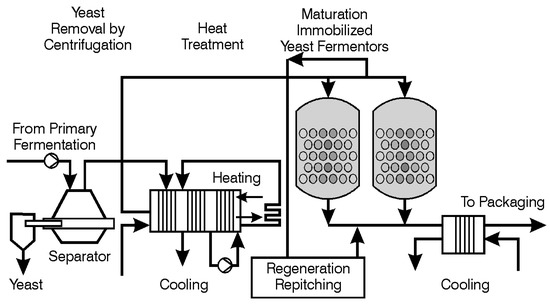 The Production of Secondary Metabolites with Flavour Potential during ...