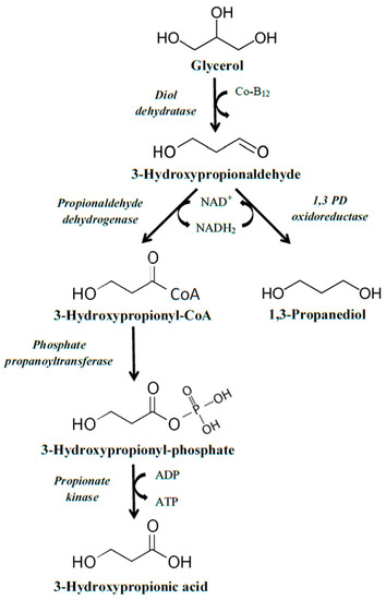Fermentation | Special Issue : Bioconversion Processes