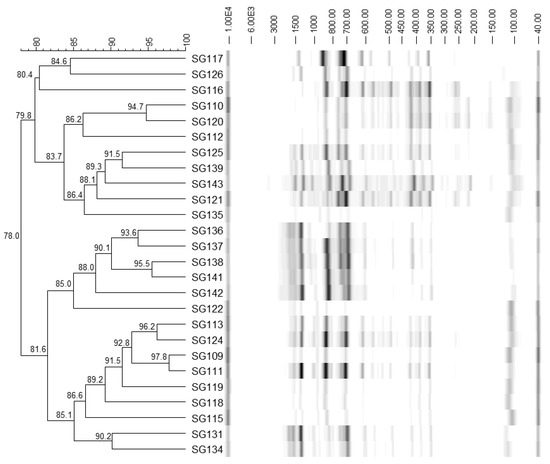 Identification of Microflora in a Biological Brewer’s Wort ...