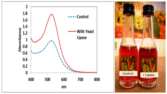 Enzymes for Wine Fermentation: Current and Perspective Applications