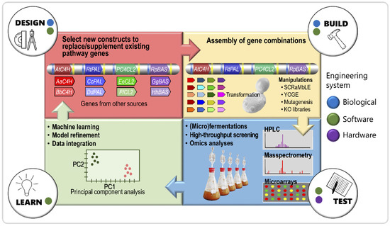 Fermentation | Special Issue : Yeast Biotechnology 2.0