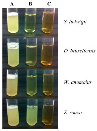 Zygosaccharomyces rouxii: Control Strategies and Applications in Food ...